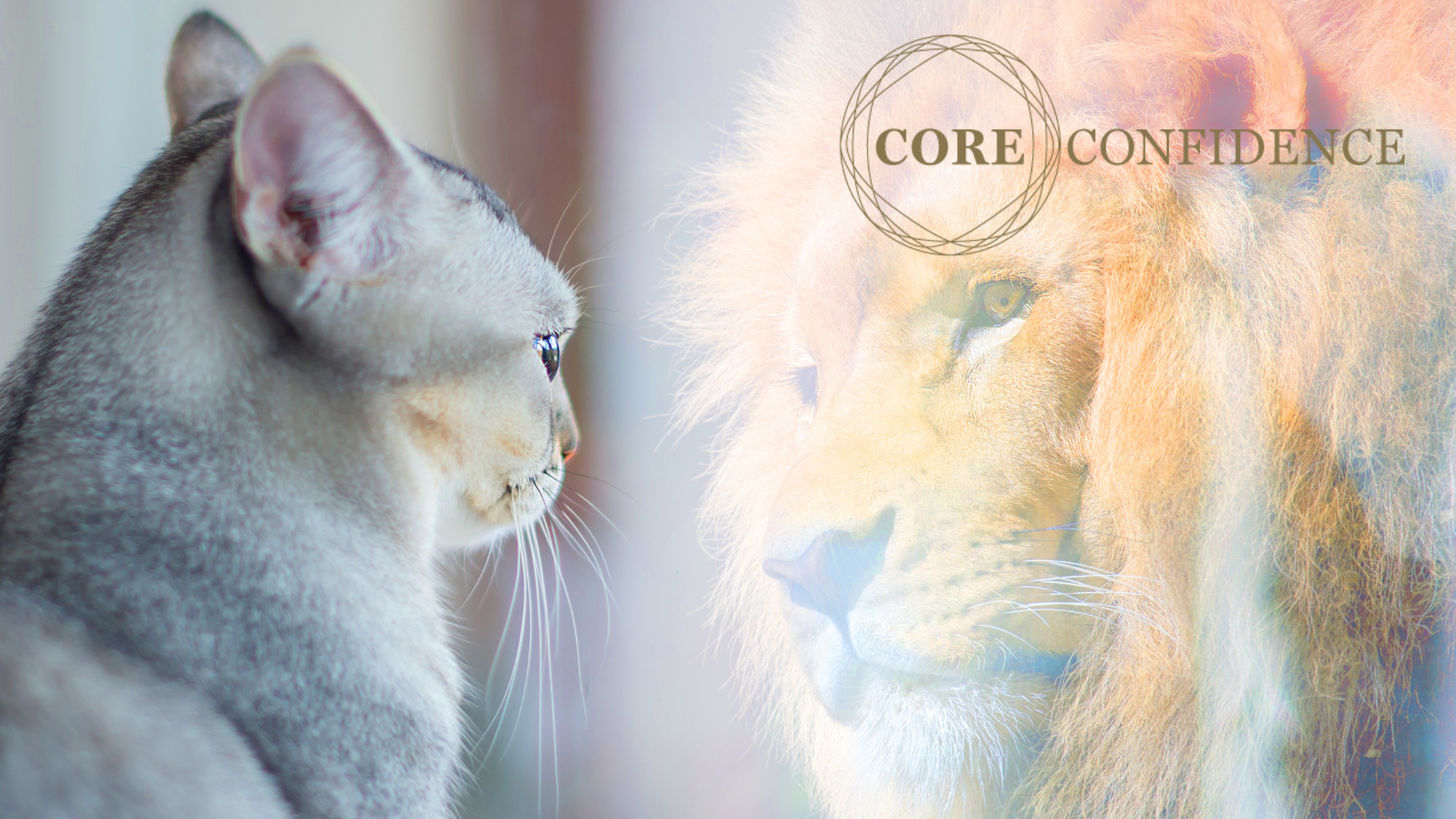 » How to Integrate Reflective Practice into Daily Life to Foster a ...